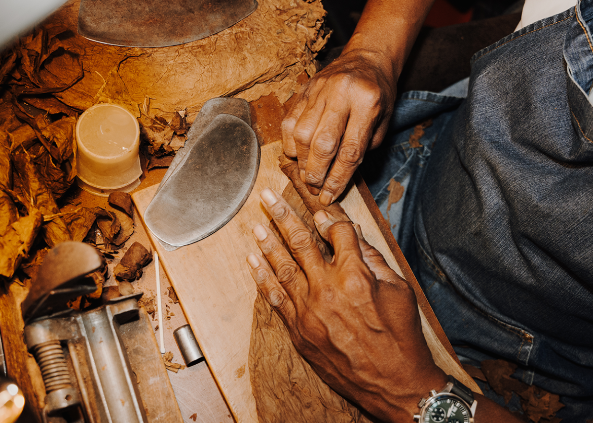 Blog: The Difference Between Filler, Binder and Wrapper – Simply Explained